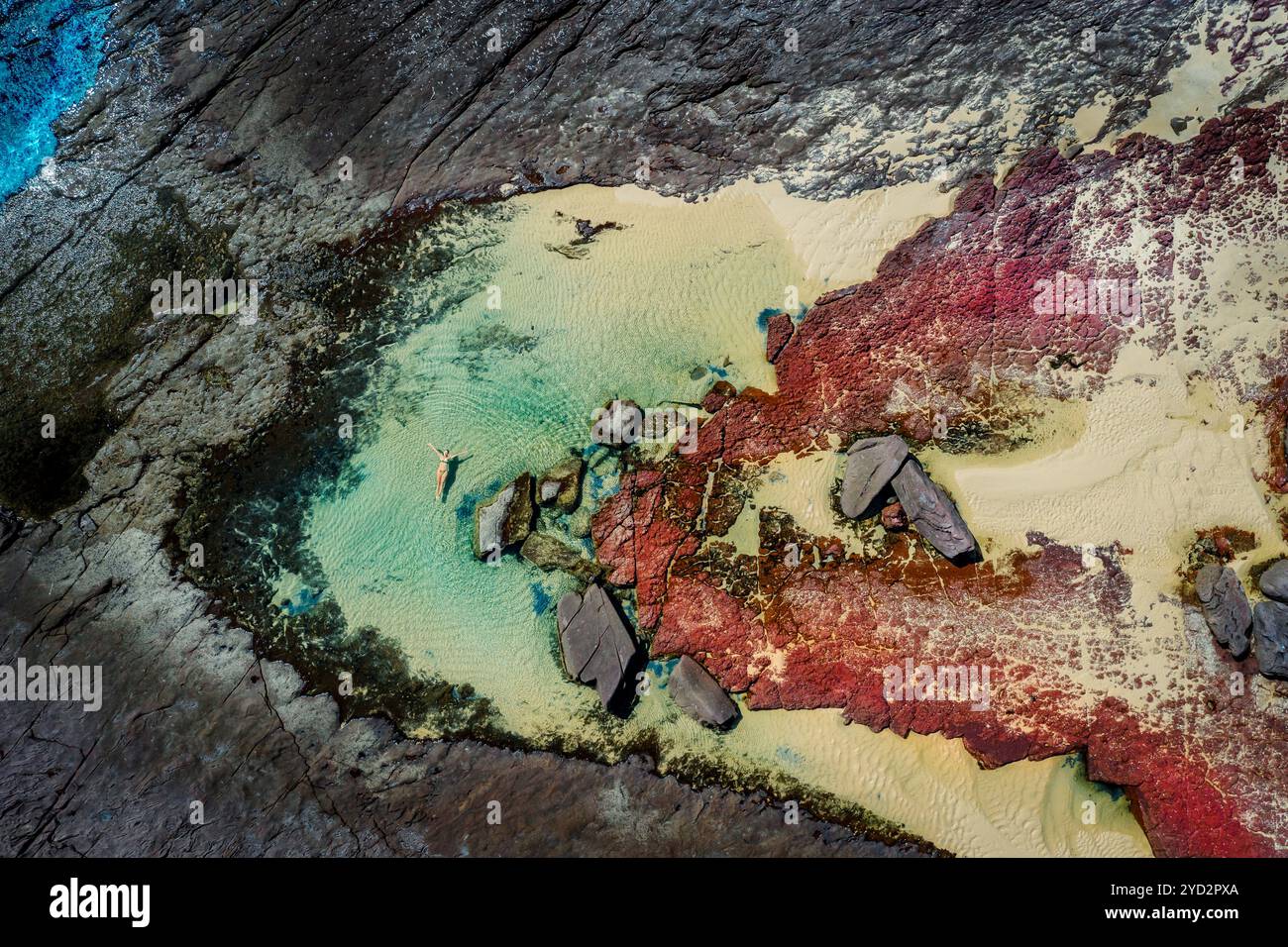 Floating in pretty blue tidal pools, red and grey rocks, creamy yellow ...