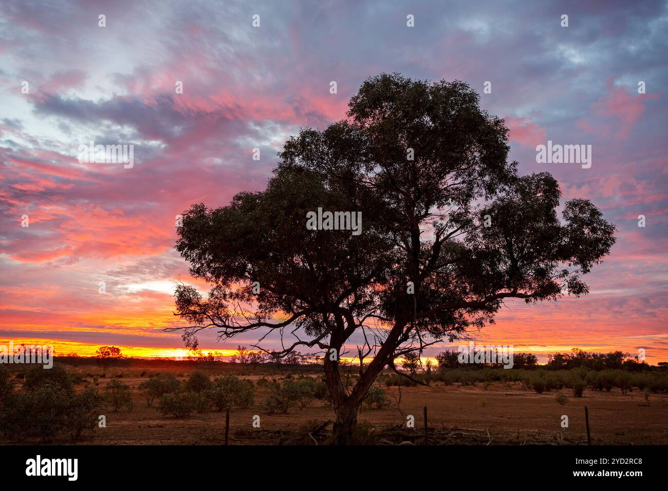 Australia outback sunrise hi-res stock photography and images - Alamy
