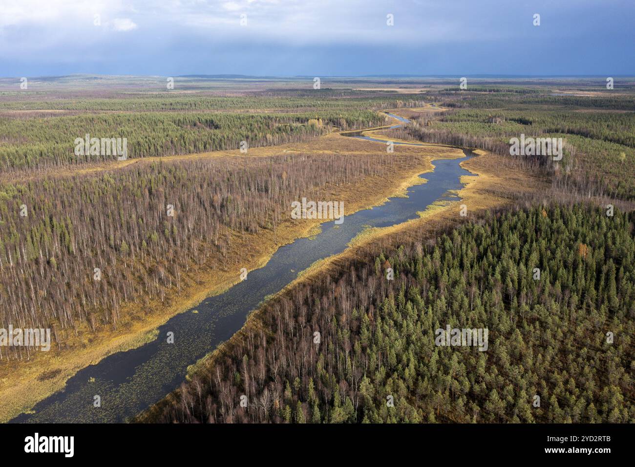 Drone image, aerial view, lakes, moor landscape, Vuostimonjoki, Lapland ...