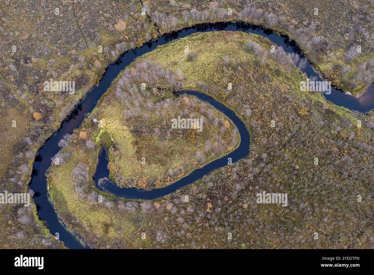 River bend, meander, drone shot, aerial view, wetland, bog in autumn ...