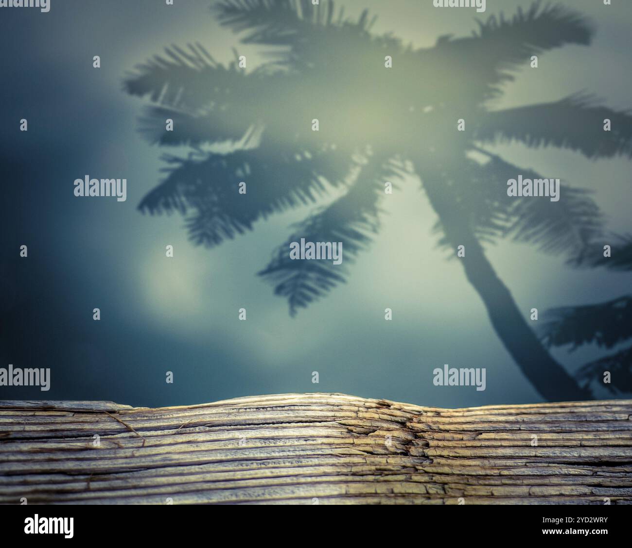 Retro Filtered Photo Of Palm Tree Shadow On Calm Hawaiian Ocean Stock ...