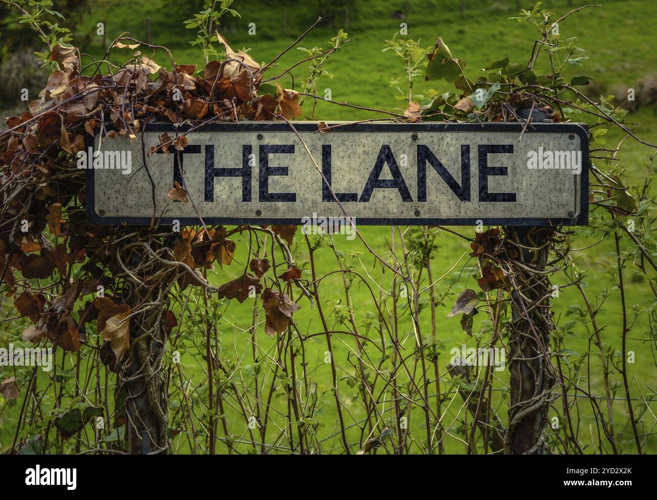 Overgrown road signs hi-res stock photography and images - Alamy