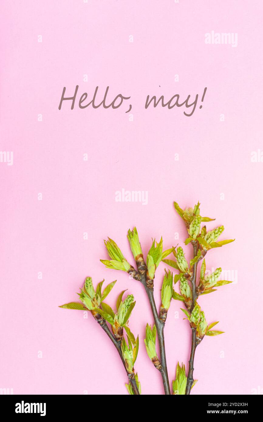 Lettering text layout hi-res stock photography and images - Alamy