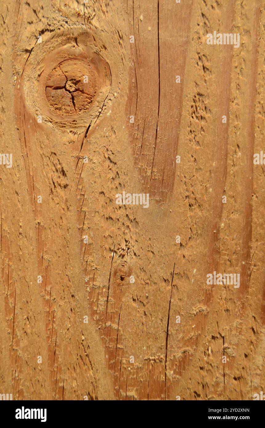Background Texture Of A Freshly Cut Plank Of Wood Stock Photo - Alamy