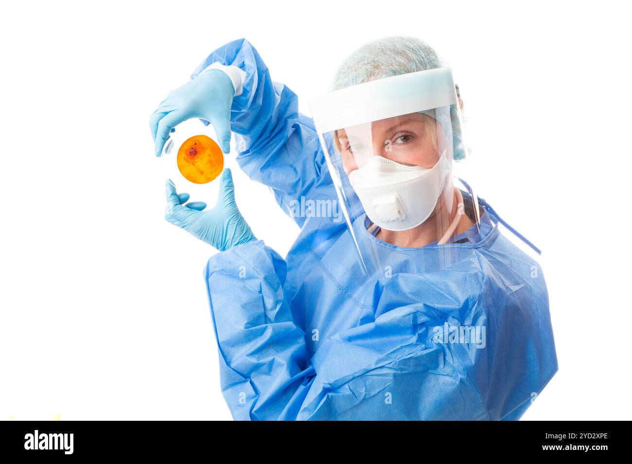 Pathology sceintist in biosecurity suit and PPE holds up a petri dish ...