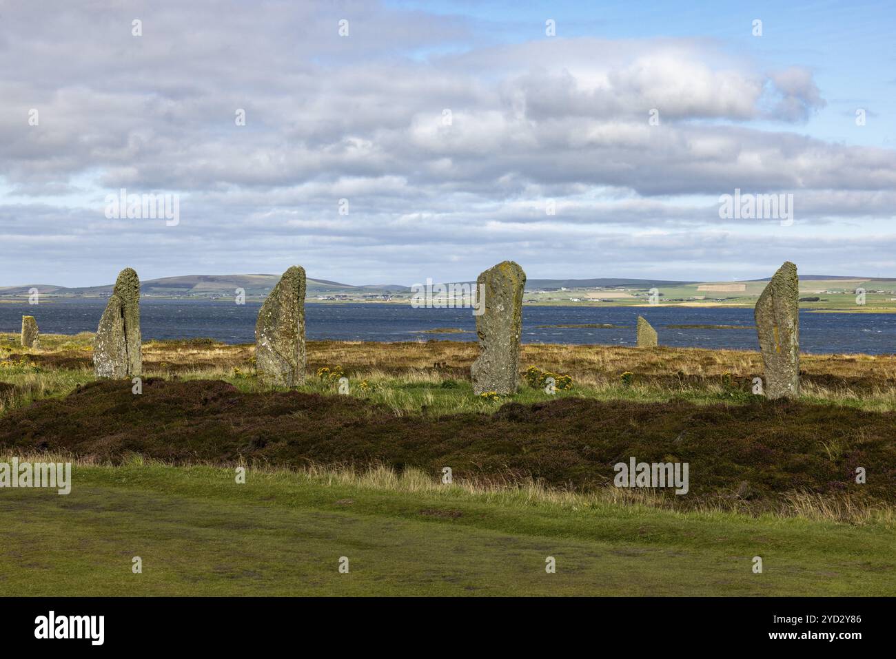 Ring of Brodgar, stone circle and moat, Neolithic monument, UNESCO ...