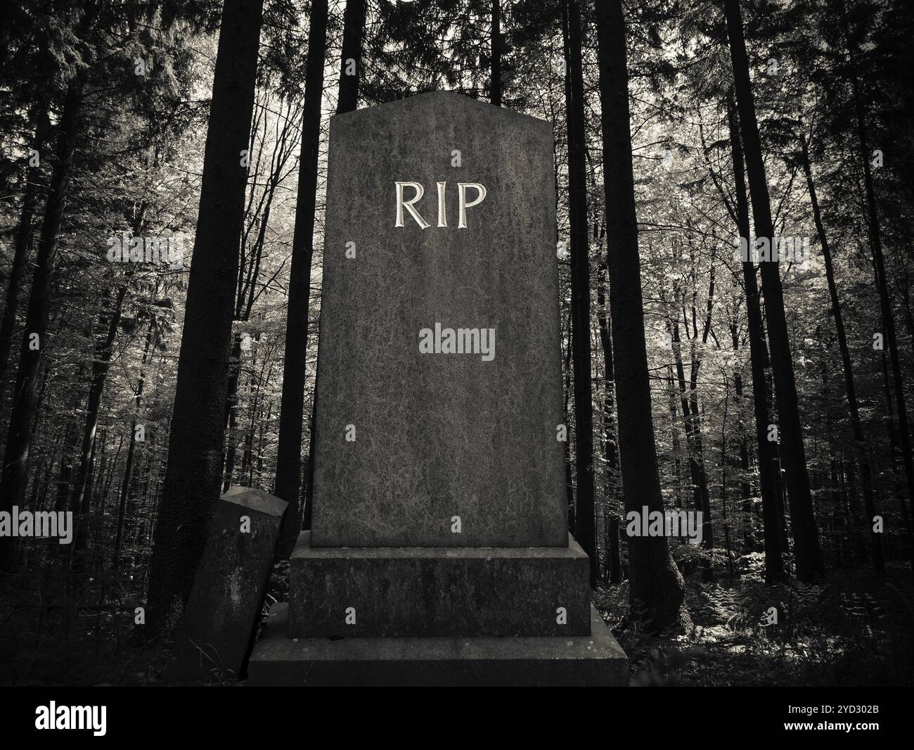 Spooky RIP Gravestone In A Dark Forest Setting Stock Photo - Alamy