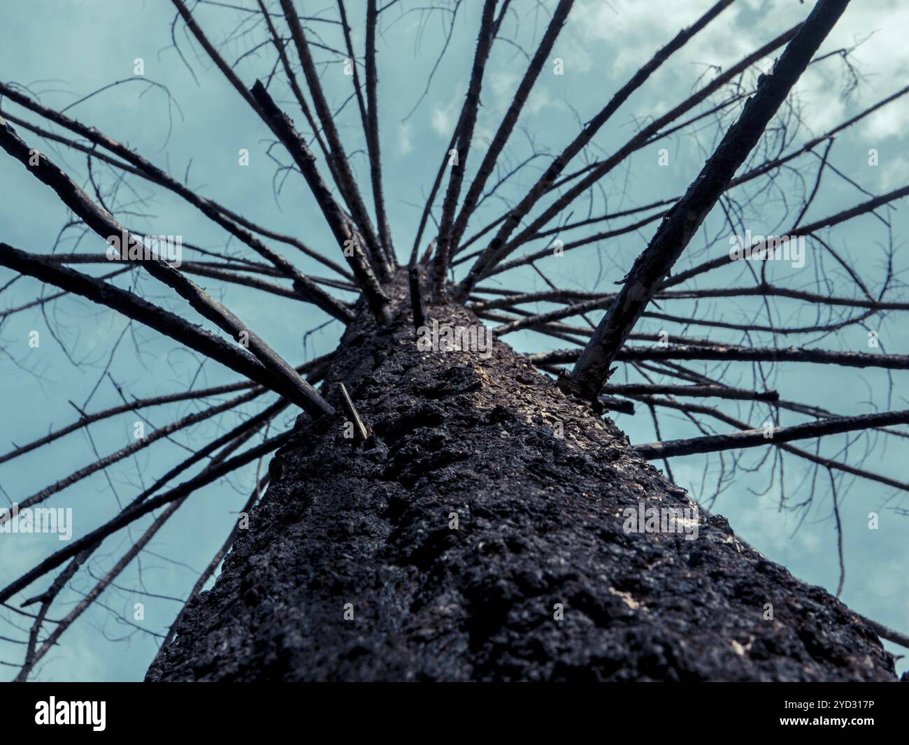 The bush burned with fire hi-res stock photography and images - Alamy