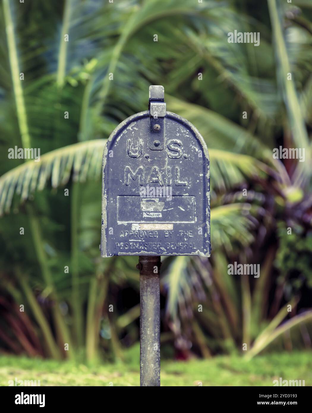 Vintage US Mail Post Box Against Palm Trees In Hawaii Stock Photo - Alamy