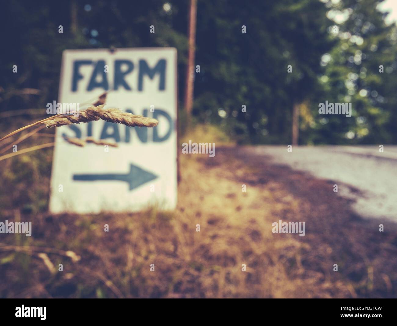Rustic Sign For A Farm Stand By The Roadside Stock Photo - Alamy