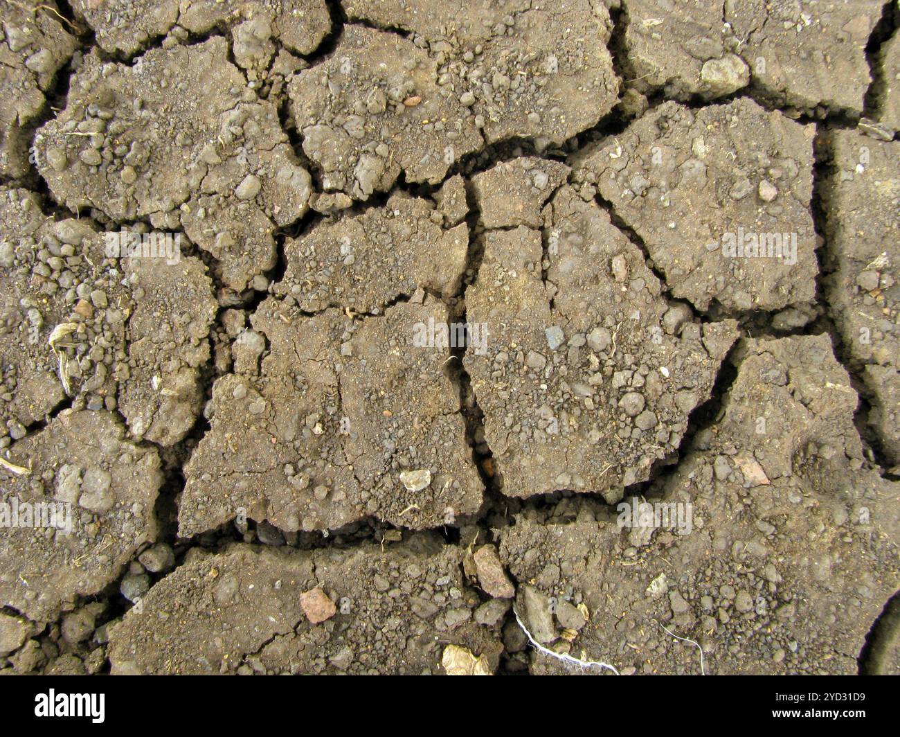 A background image of cracked earth texture Stock Photo - Alamy
