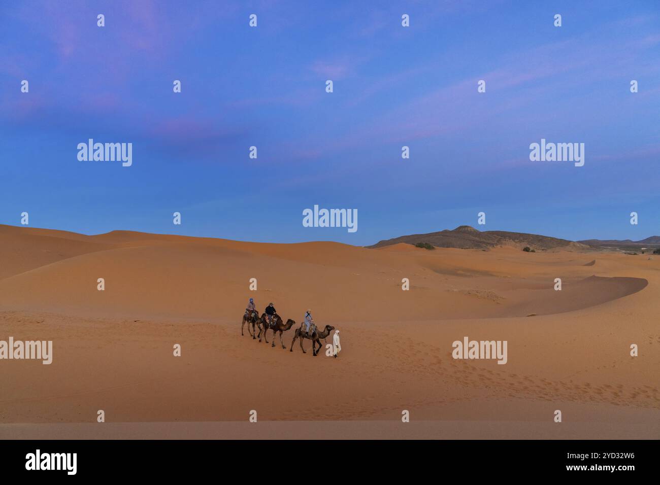 Merzouga, Morocco, 9 March, 2024: Berber guide leading a tourist group ...