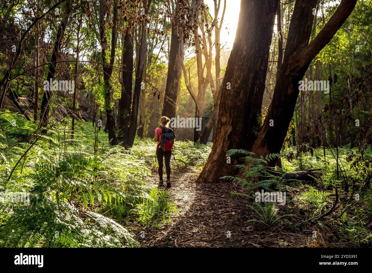 Australian hiker hi-res stock photography and images - Alamy
