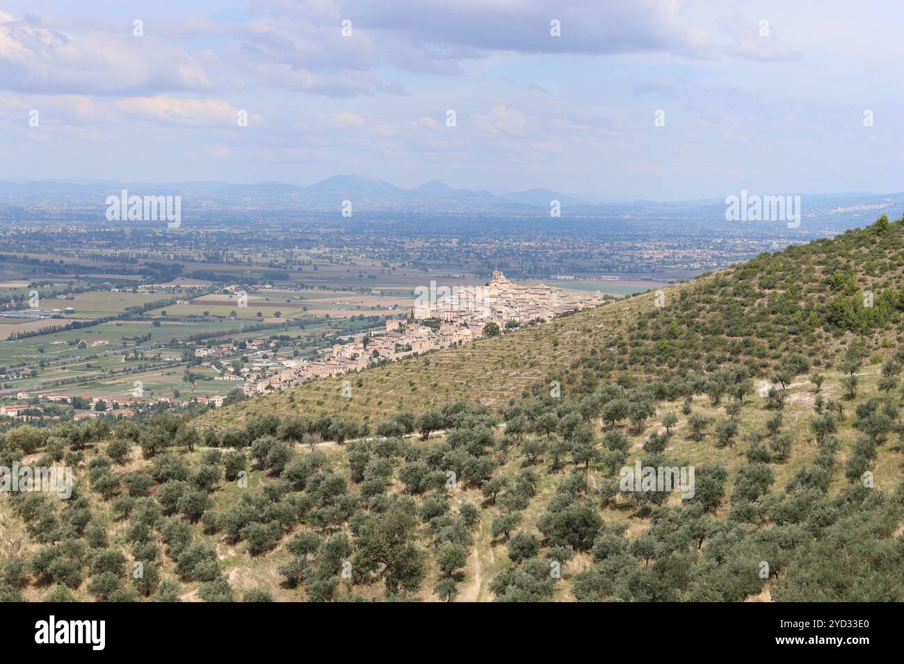 View across tree covered hillside hi-res stock photography and images ...