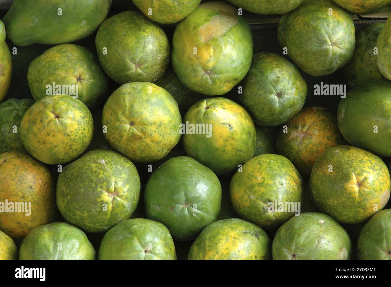 Retail Background of Fresh Guava Fruits at a Market Stall Stock Photo ...