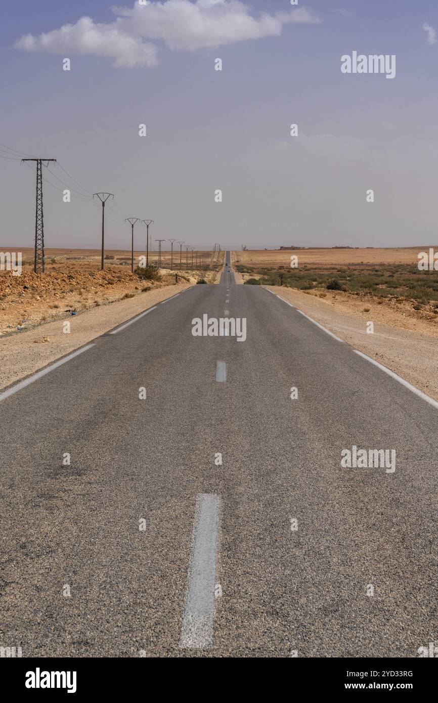 Vertical view of an endless desert highway and power lines leading ...