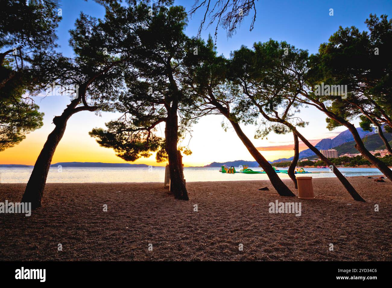 Makarska pebble beach and pine trees sunset view Stock Photo - Alamy