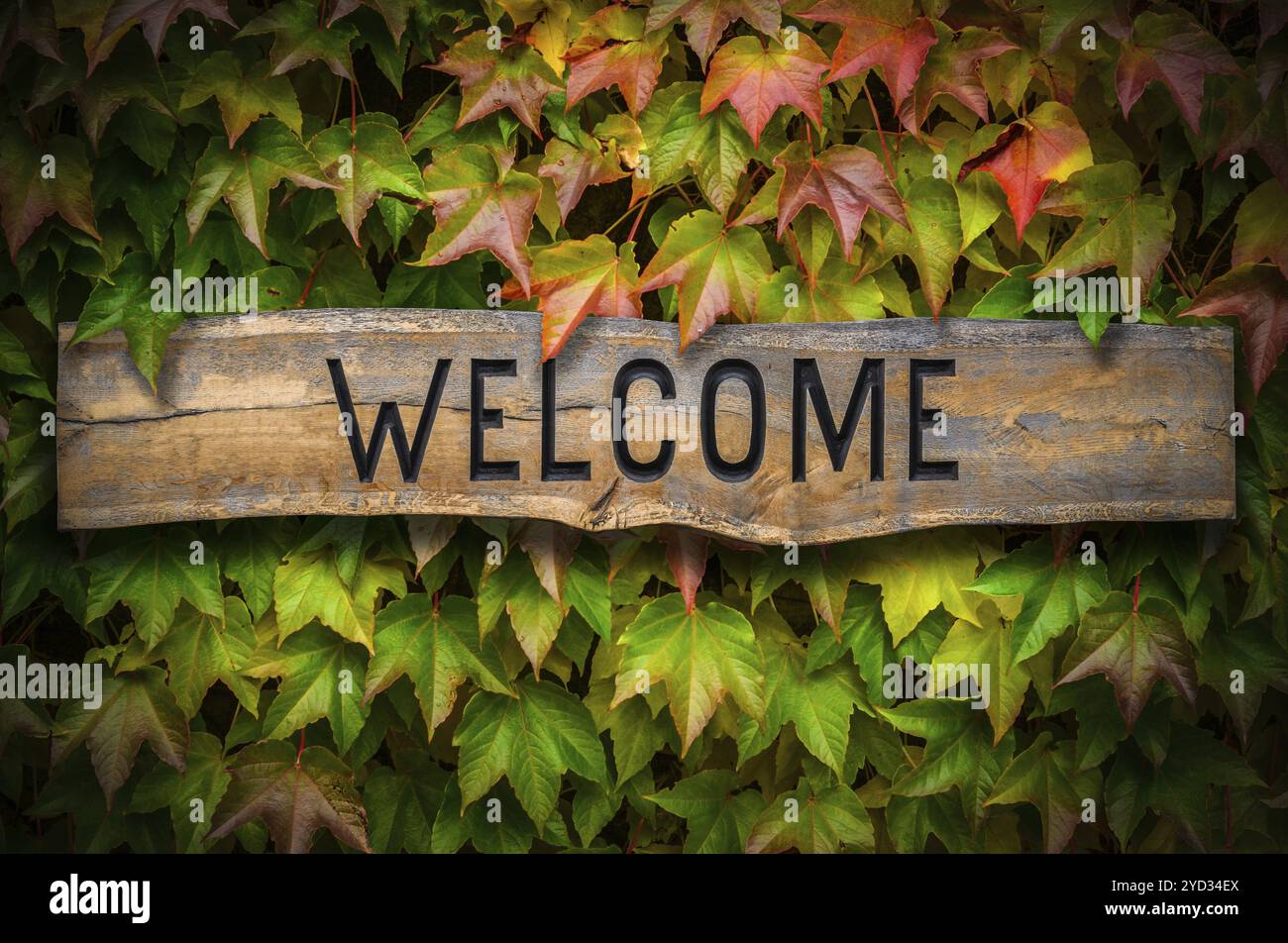 Rustic Retro Wooden Carved Welcome Sign Against A Beautiful Leafy ...