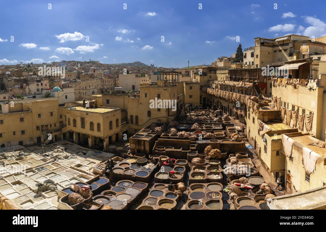 Fez, Morocco, 4 March, 2024: a general view of the Chouara Tannery in ...