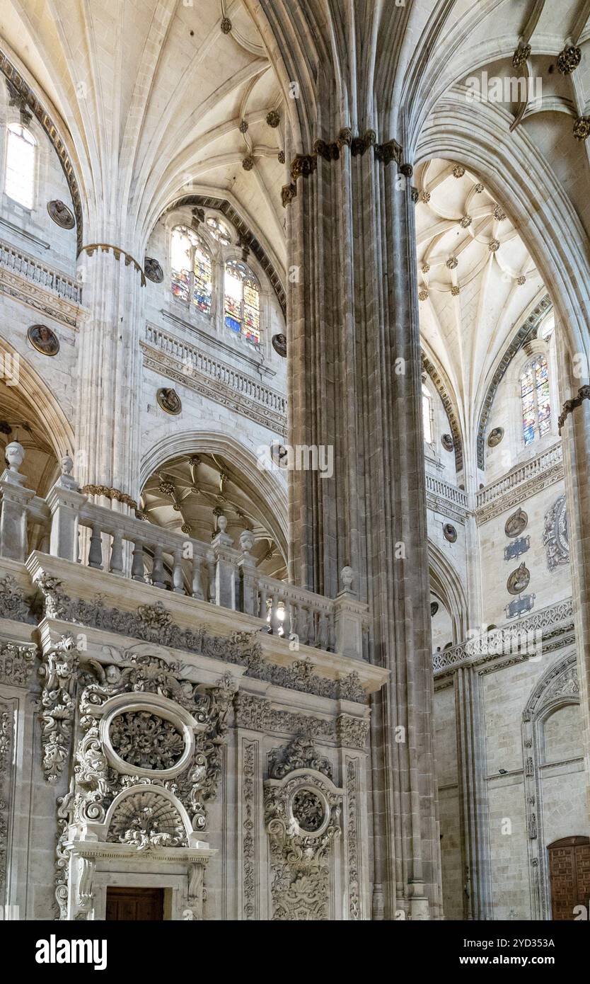 Salamanca, Spain, 9 April, 2024: vertical view of the central nave of ...