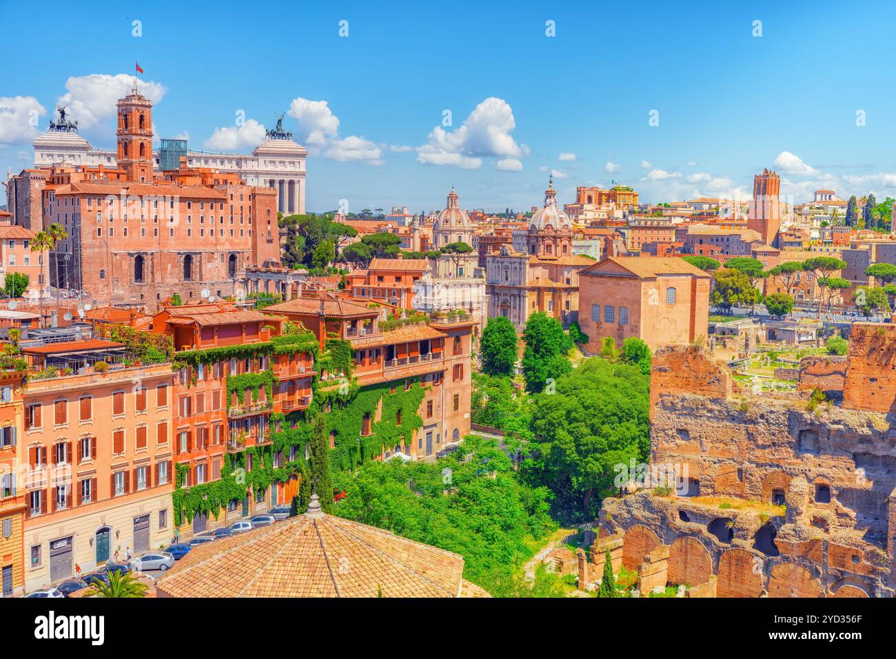 View from the Roman Forum and Palatine Hill(Collina del Palatino ) on ...