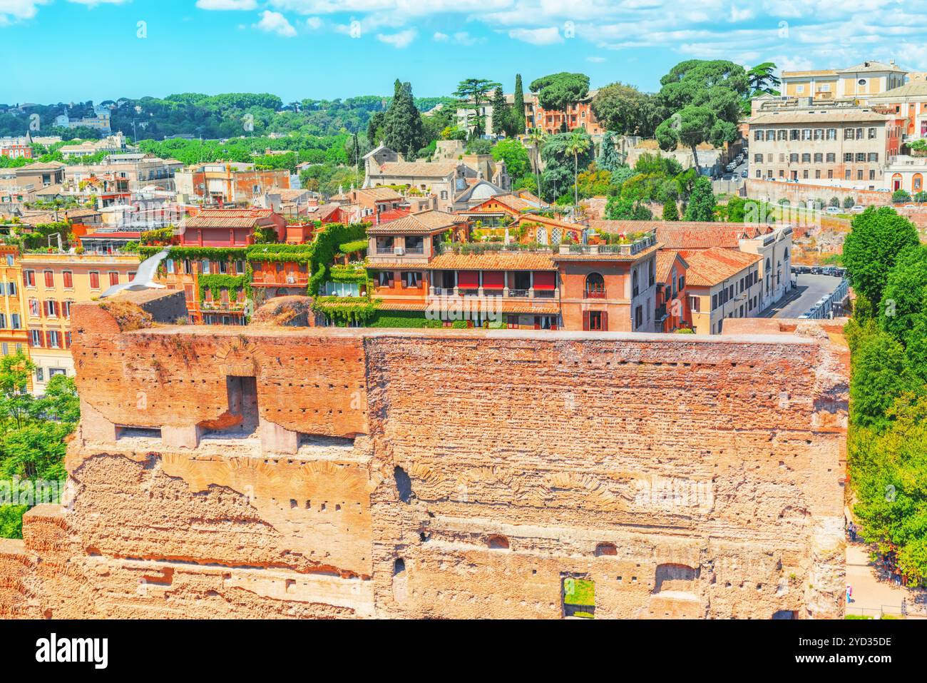 View from the Roman Forum and Palatine Hill(Collina del Palatino ) on ...