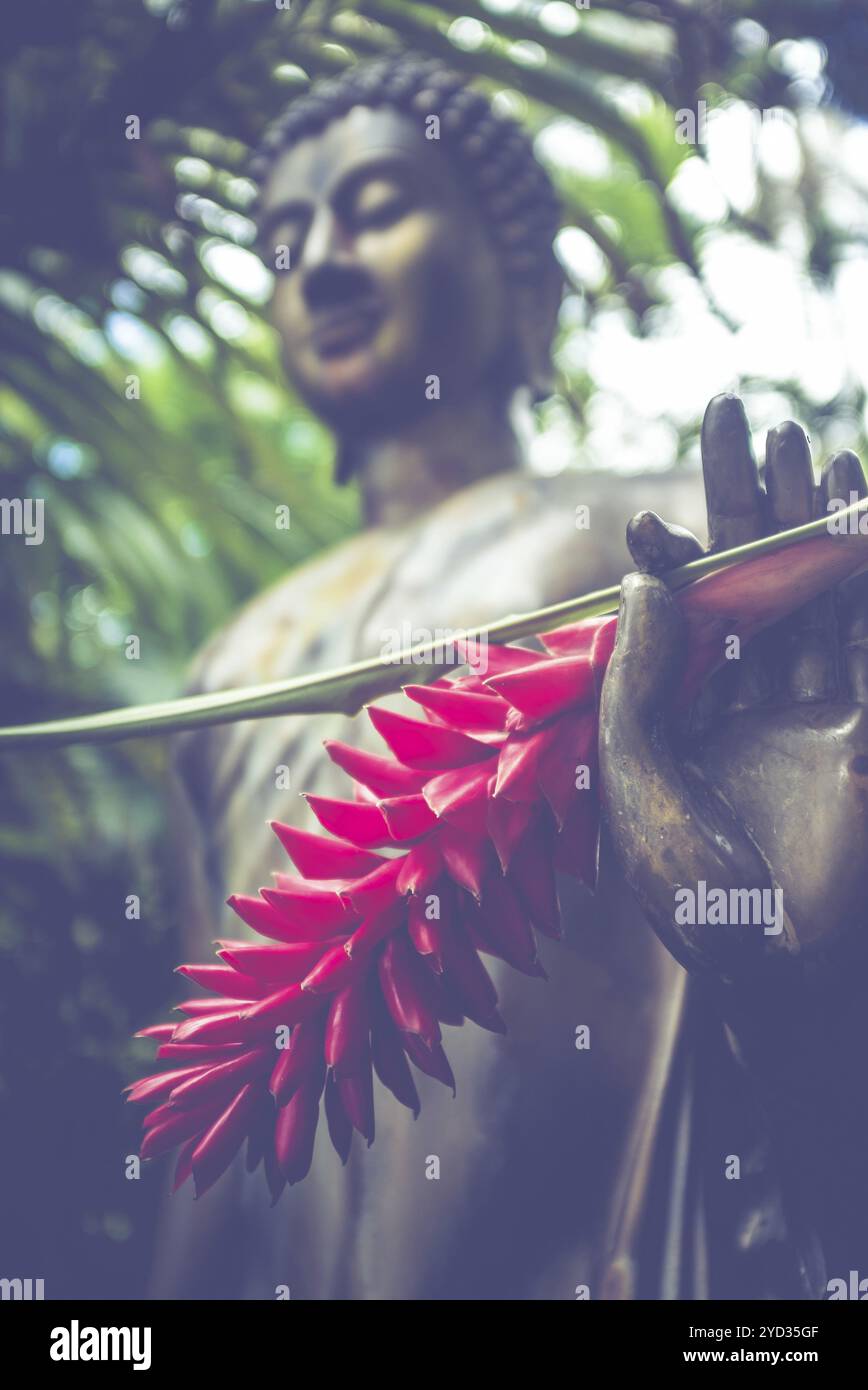 Buddhist statue hands in hi-res stock photography and images - Alamy