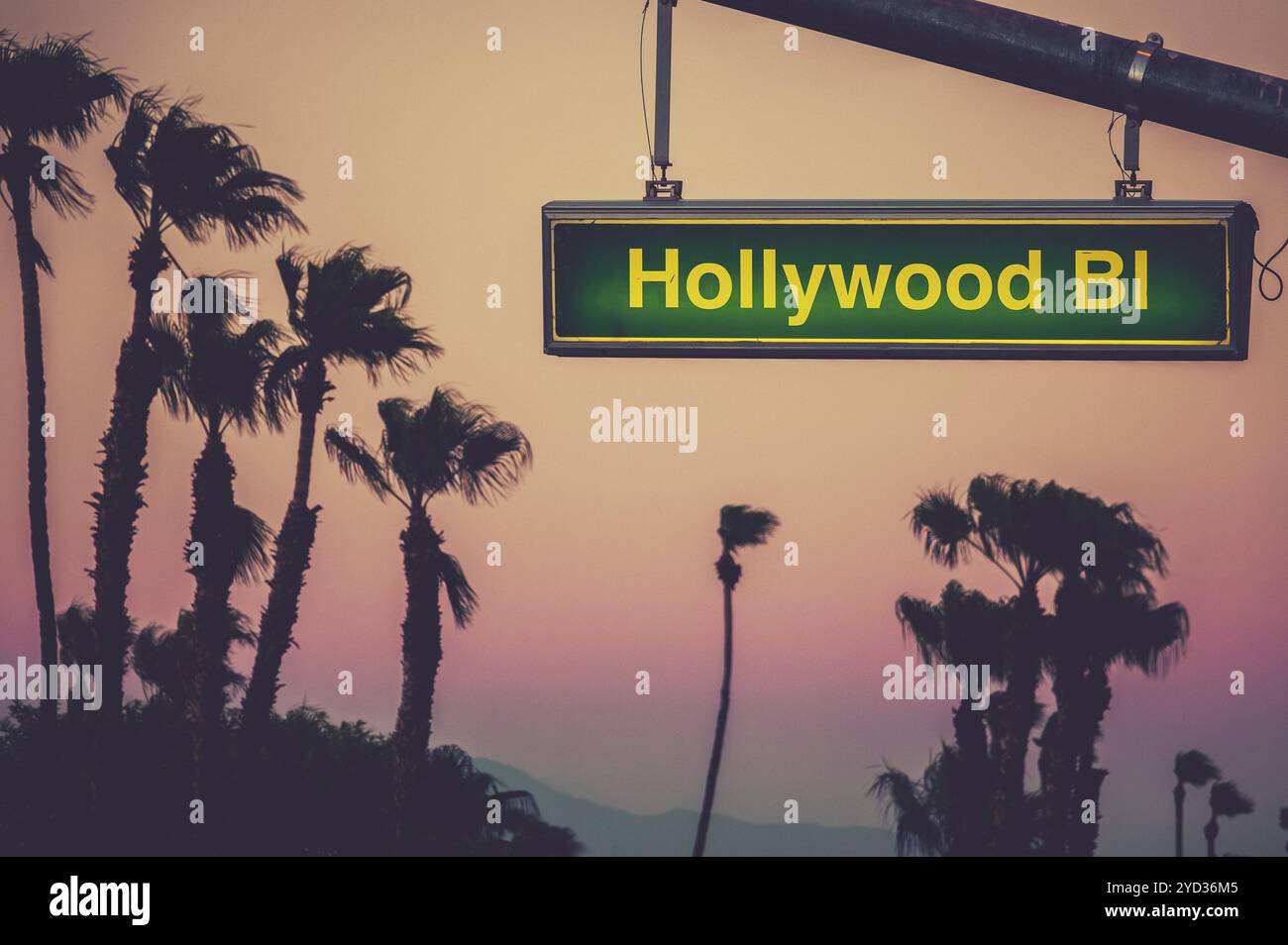 A Hollywood Blvd Sign At Sunset WIth Palm Trees In Los Angeles Stock ...