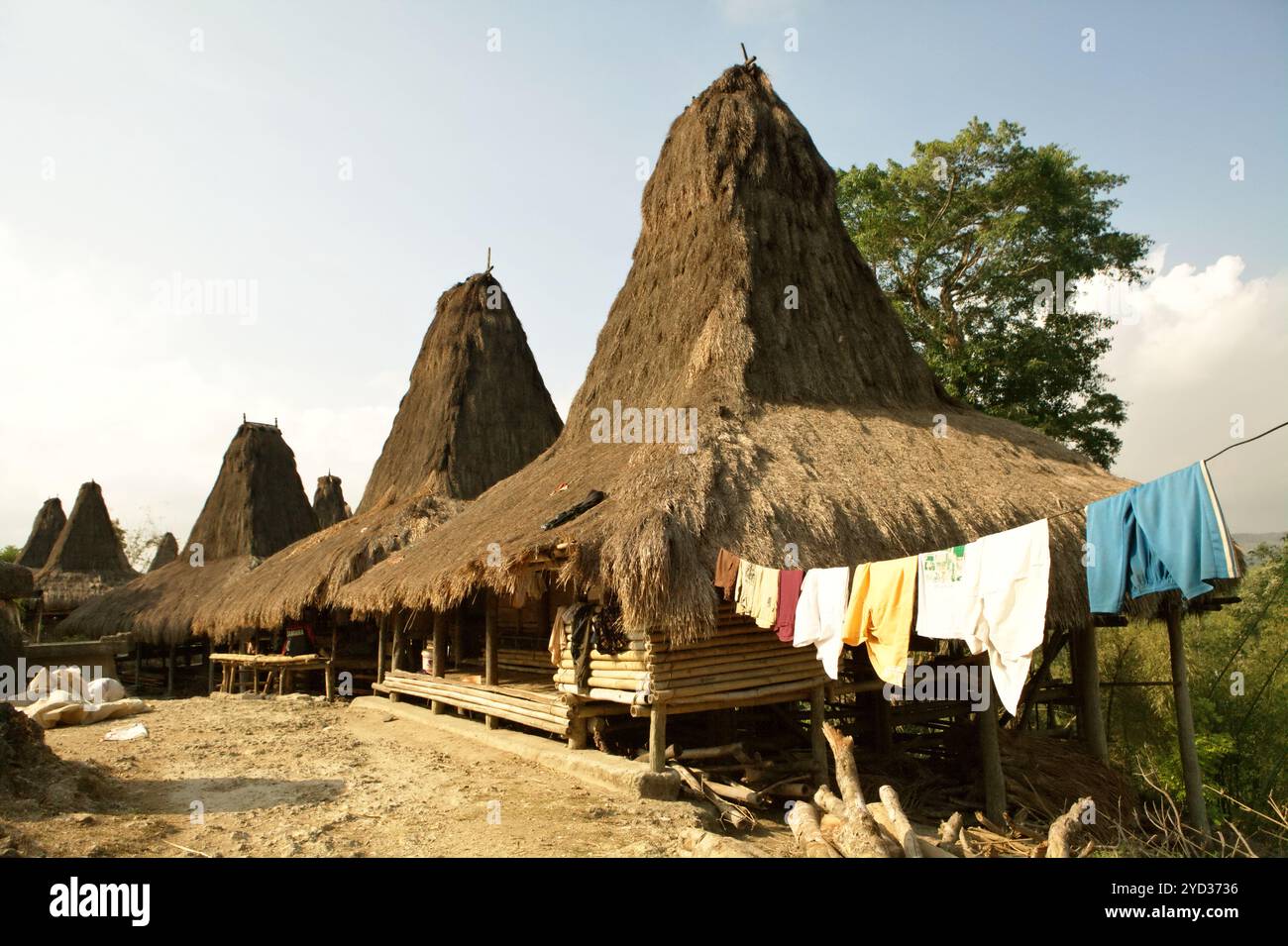 Traditional settlement of Praijing in Tebara, Waikabubak, West Sumba ...