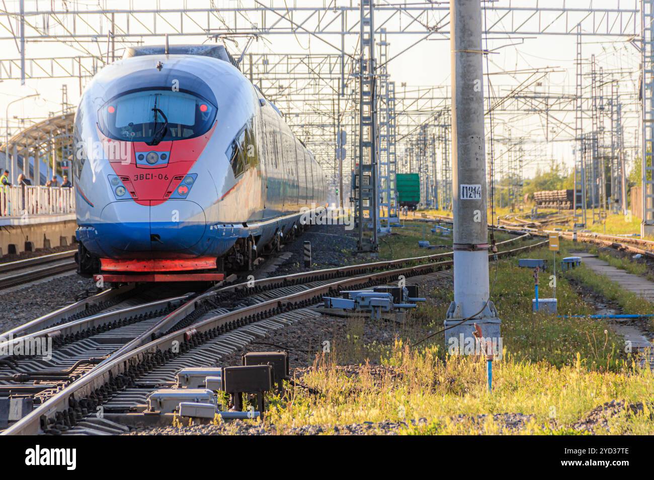Peregrine Falcon stop . Speed train. The Route Moscow - Saint ...