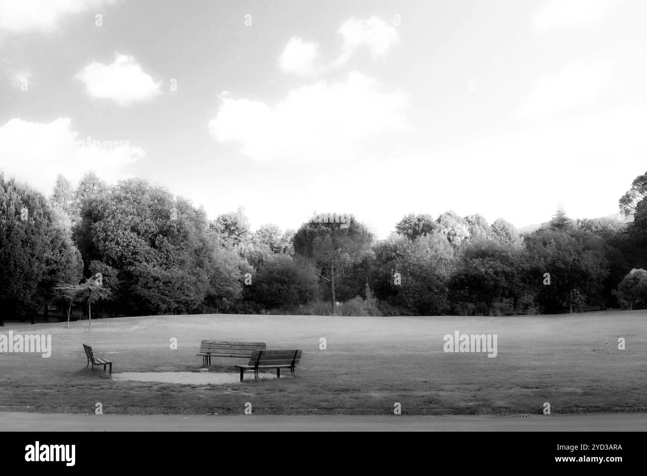 Solitude spring Black and White Stock Photos & Images - Alamy