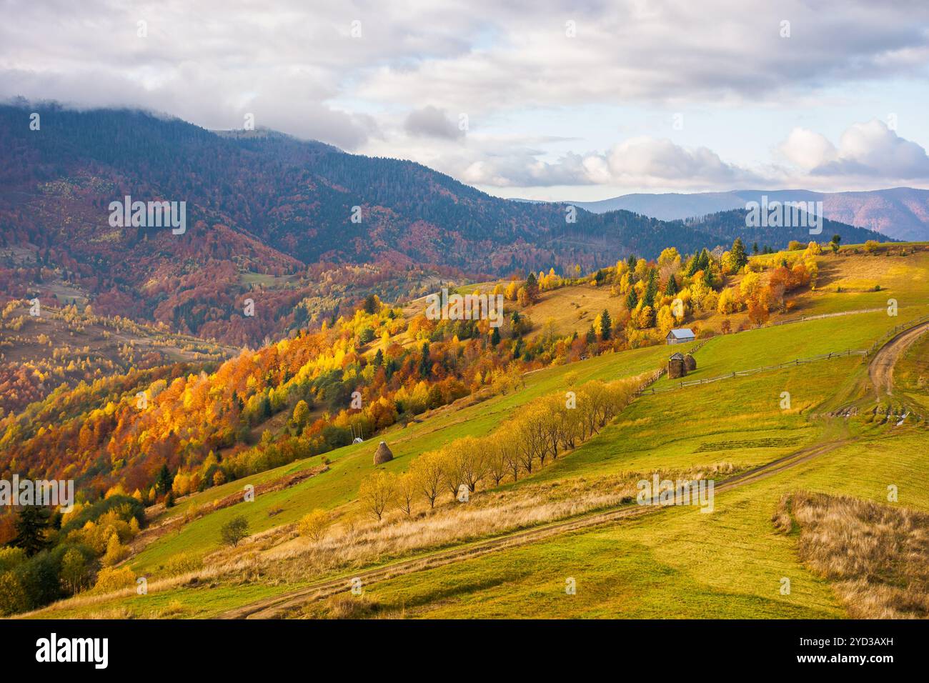 mountainous rural landscape in autumn. fall season change. sunny ...