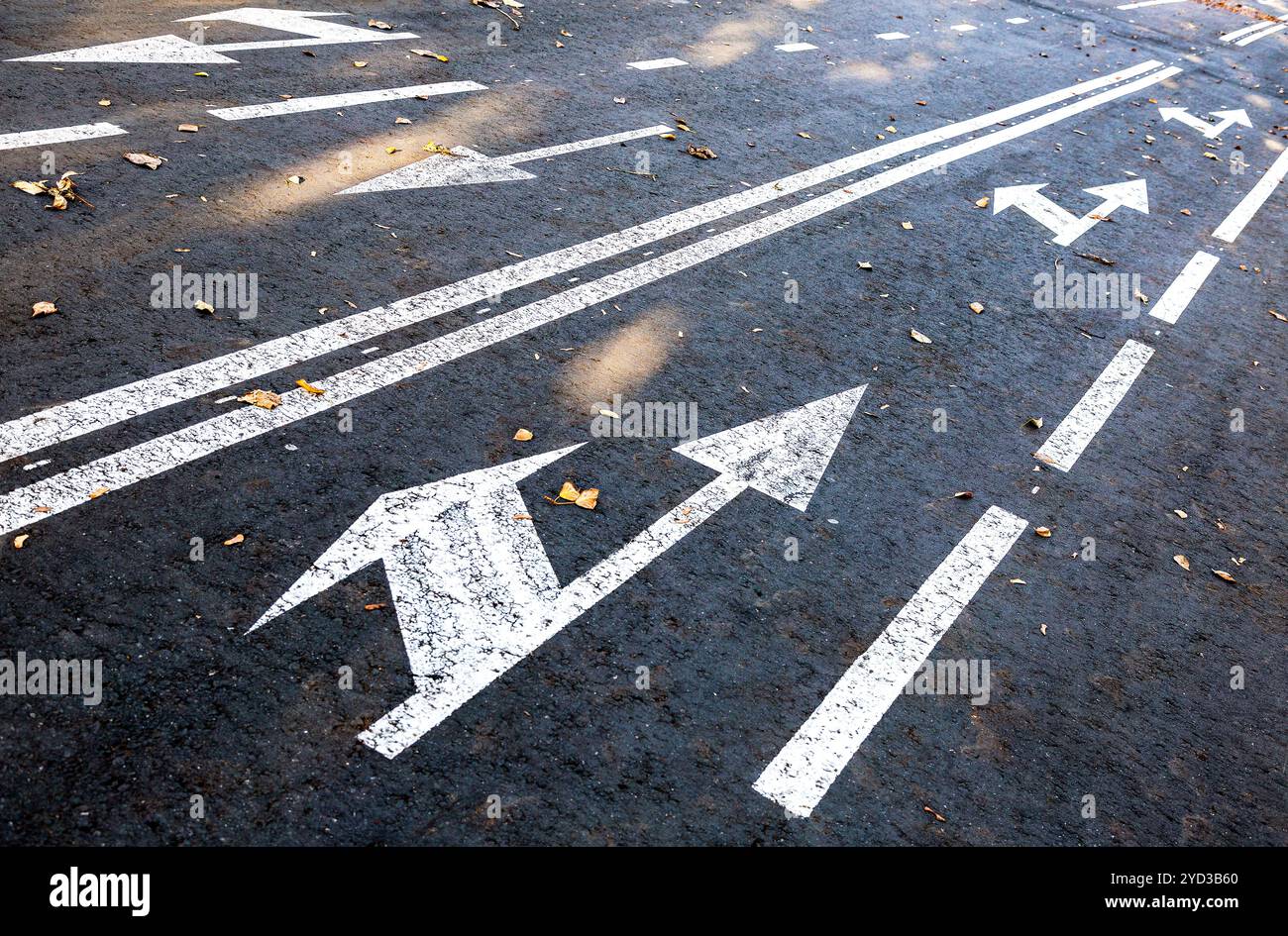 Traffic sign white arrows on asphalt road Stock Photo - Alamy
