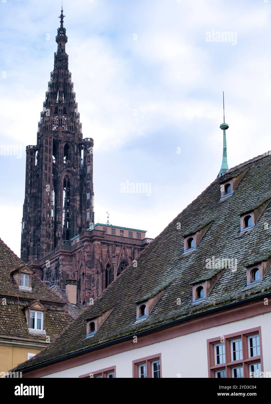 Tower of the Strasbourg Cathedral, also known as the Strasbourg Minster ...