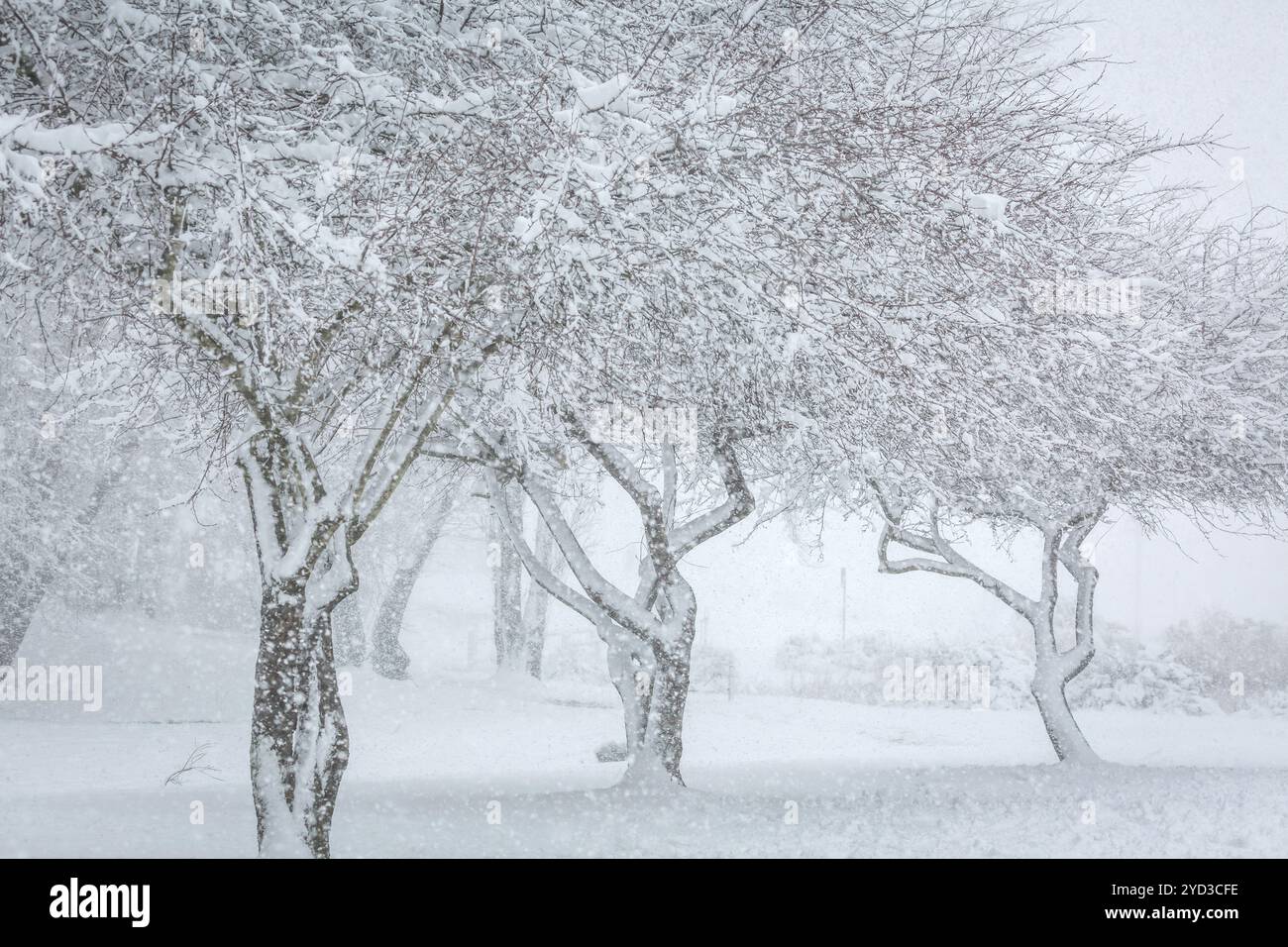Falling snow landscape background hi-res stock photography and images ...