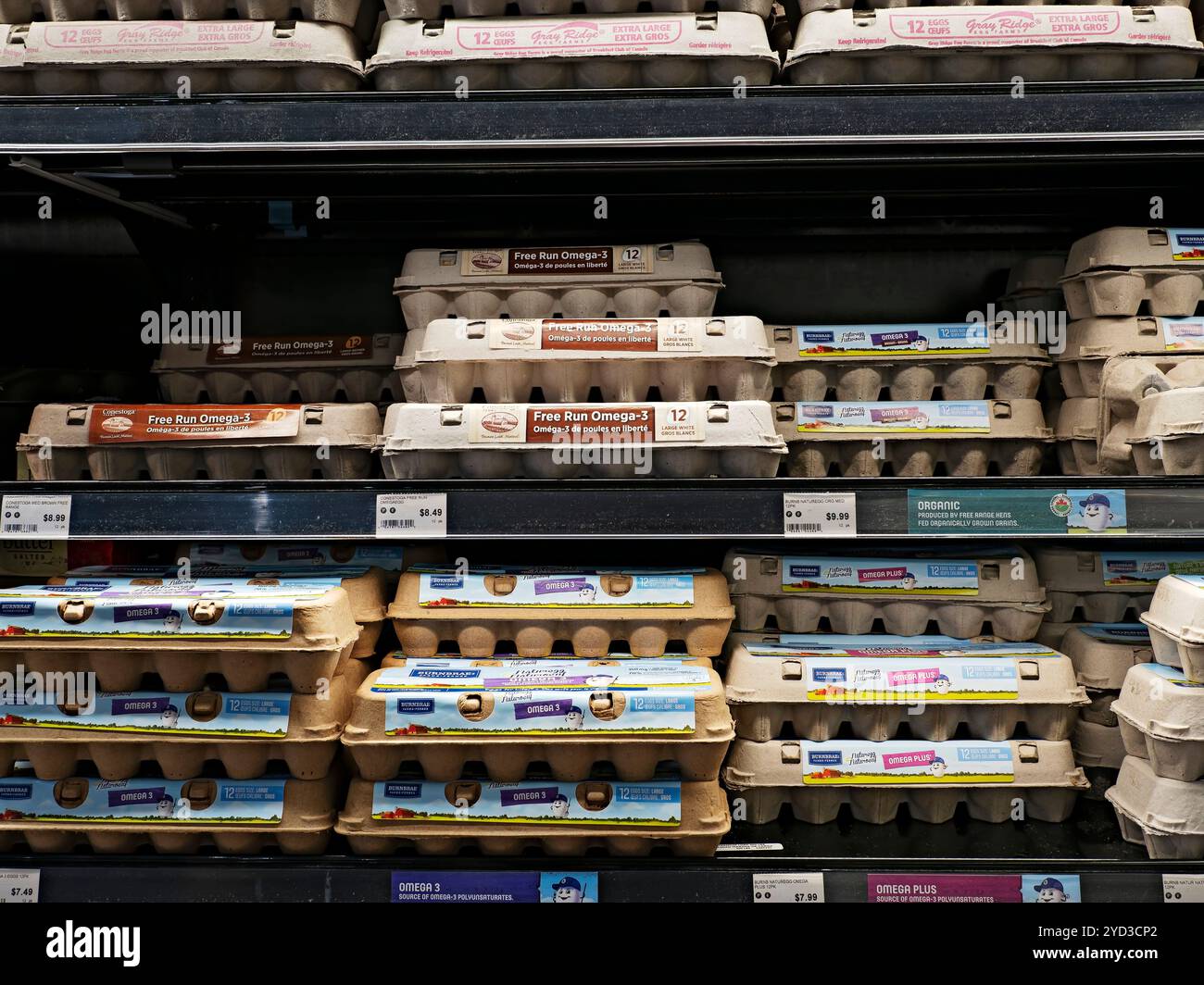 Toronto Canada / Fresh eggs at Pusateri's flagship Grocery Store on ...