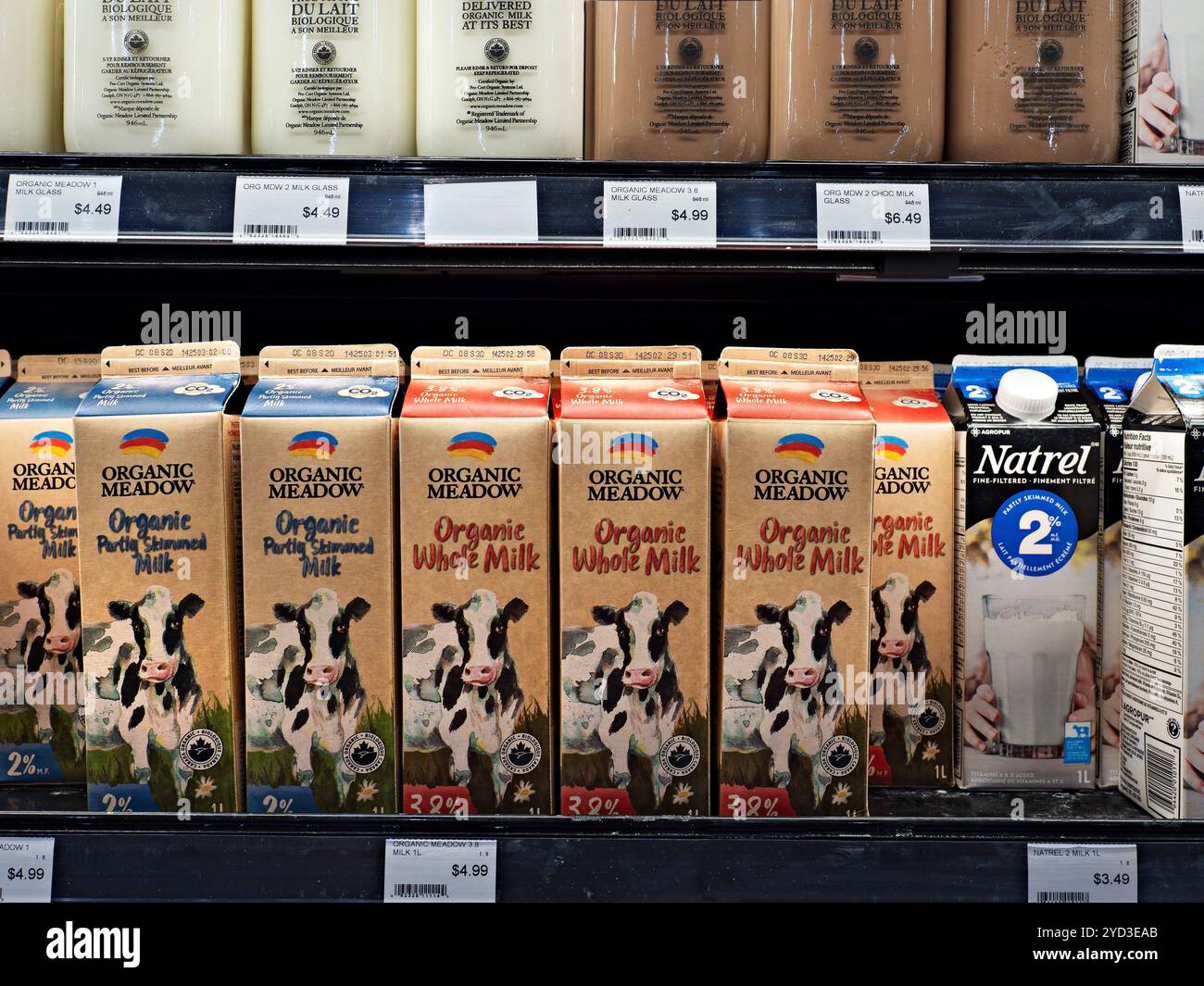 Toronto Canada / Fresh milk displayed at Pusateri's flagship Grocery ...