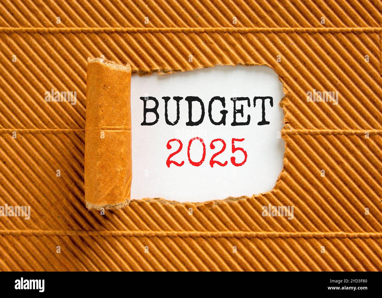 Planning budget 2025 new year symbol. Concept words Budget 2025 on ...