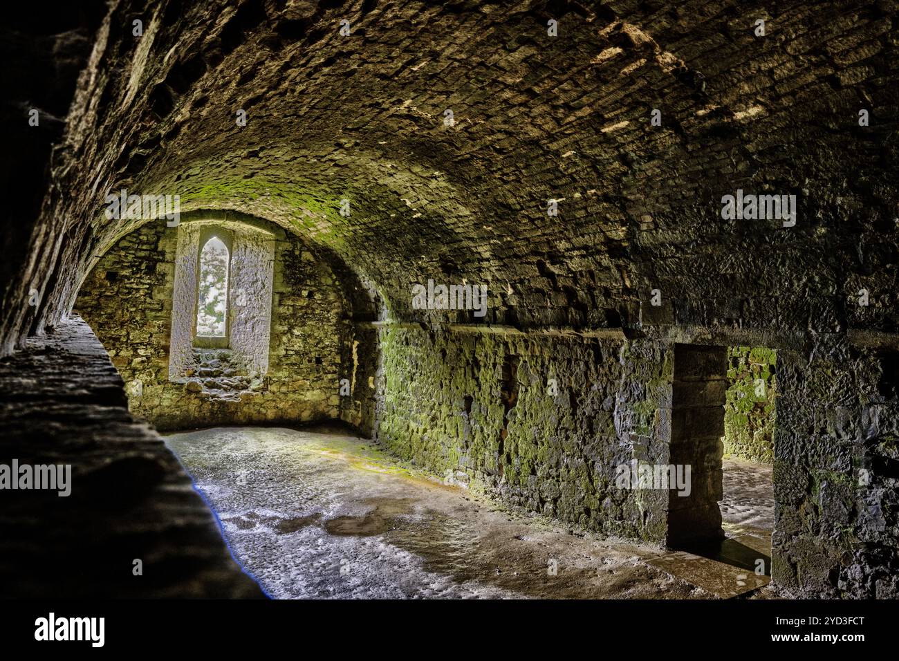 Interior view of the Undercrofts at Battle Abbey, Battle, East Sussex ...