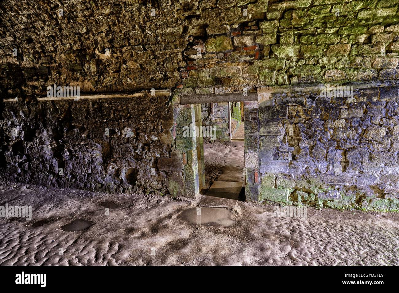 Interior view of the Undercrofts at Battle Abbey, Battle, East Sussex ...