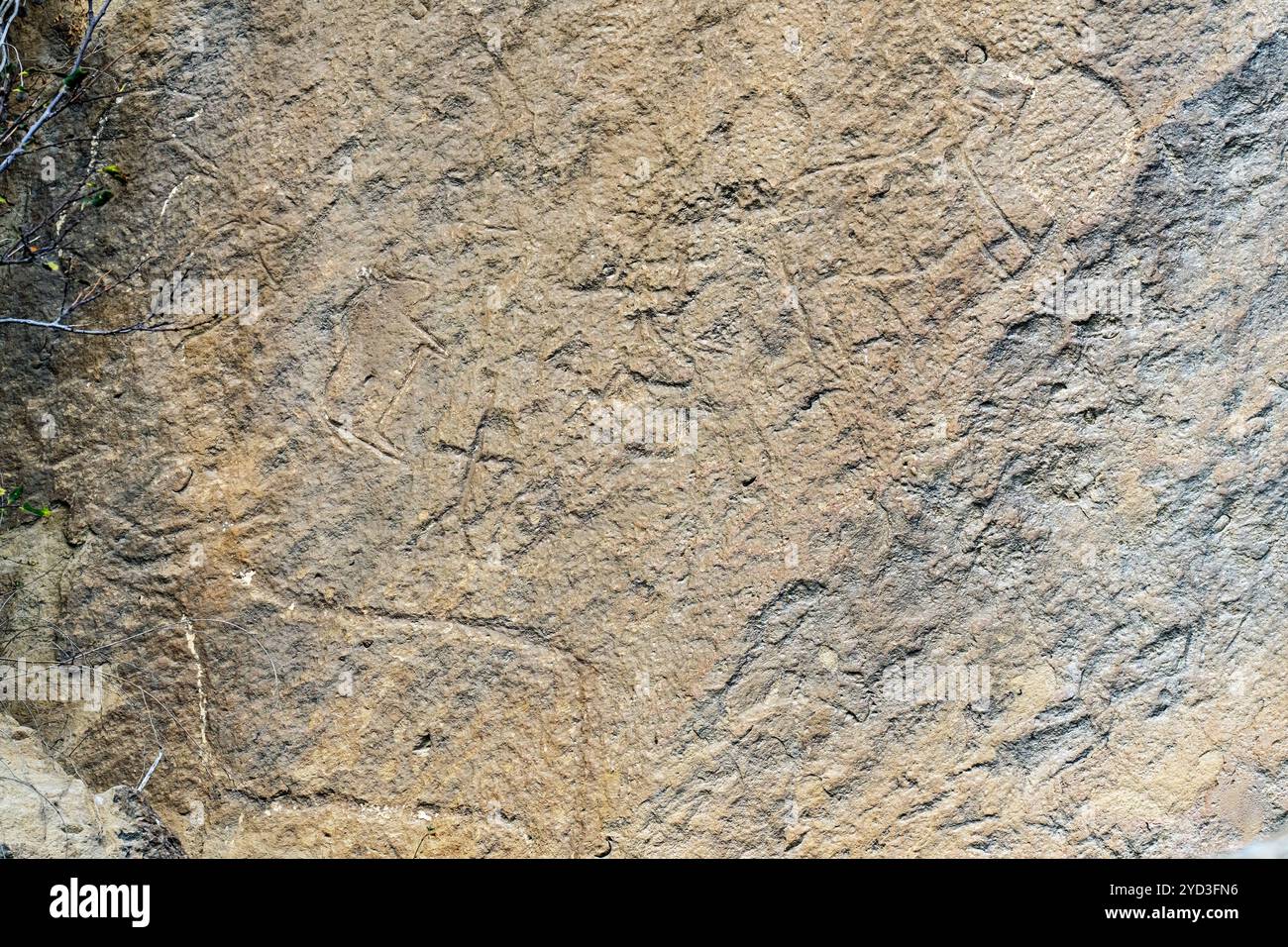 One of the most intresting images on the stone is the face to face bull ...