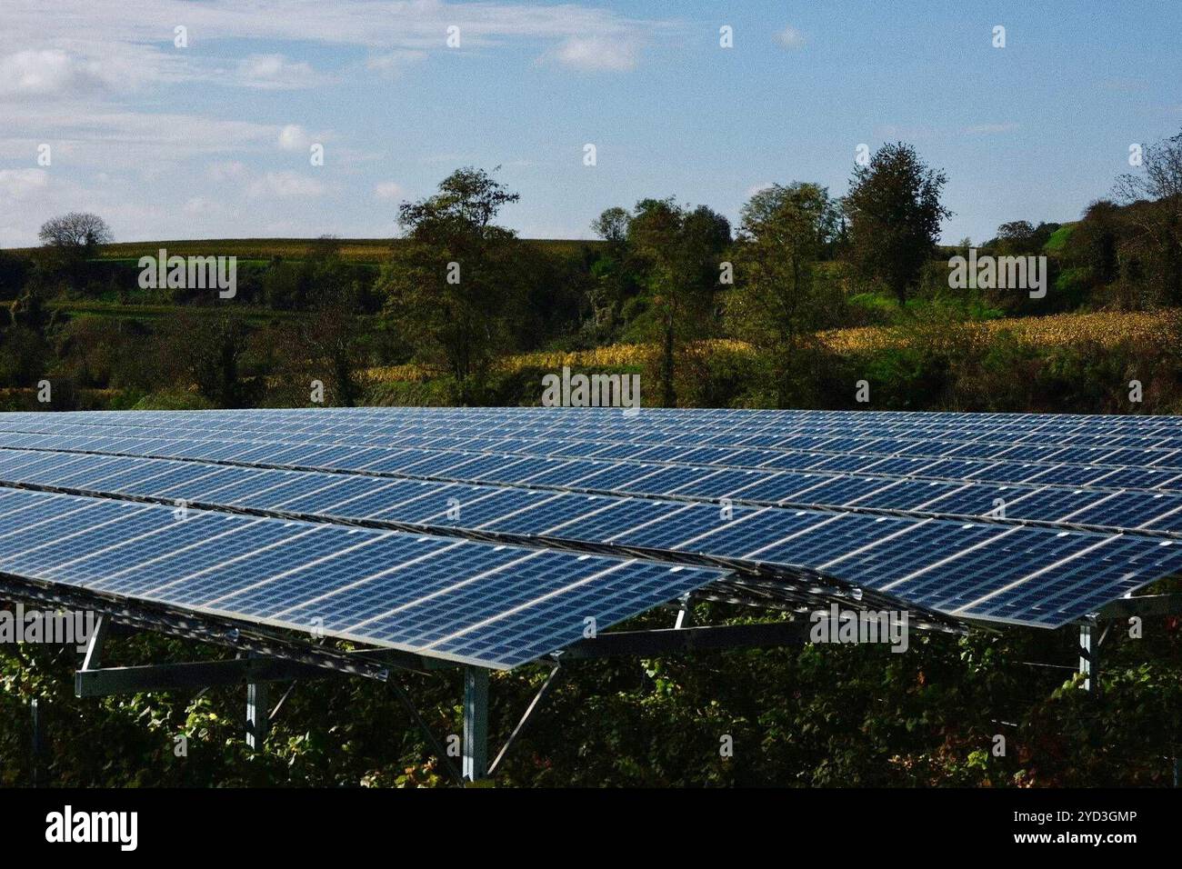 Agro photovoltaics hi-res stock photography and images - Alamy
