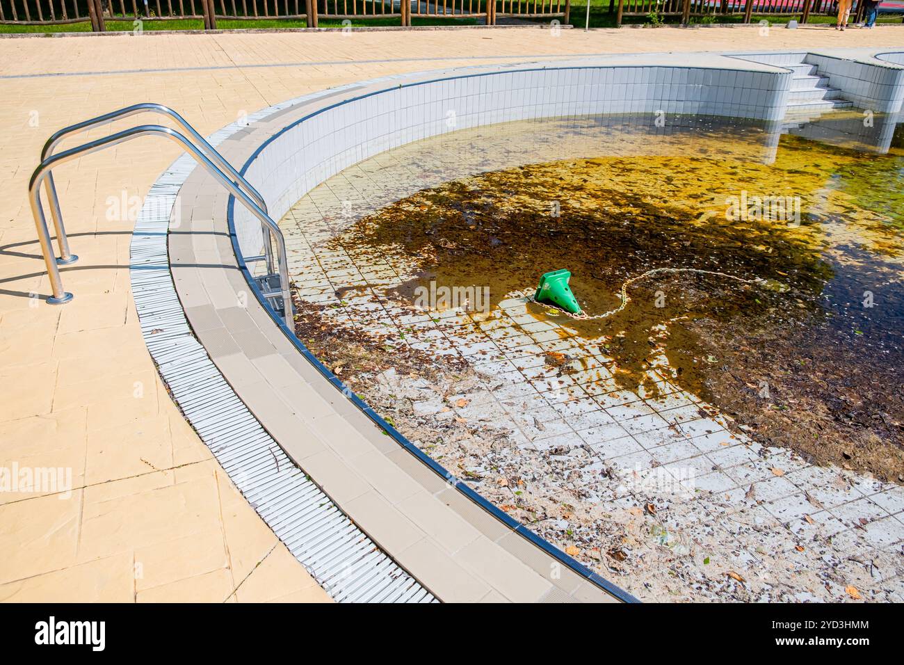 Dirty pool water surface with autumn leaves floating on the water Stock ...