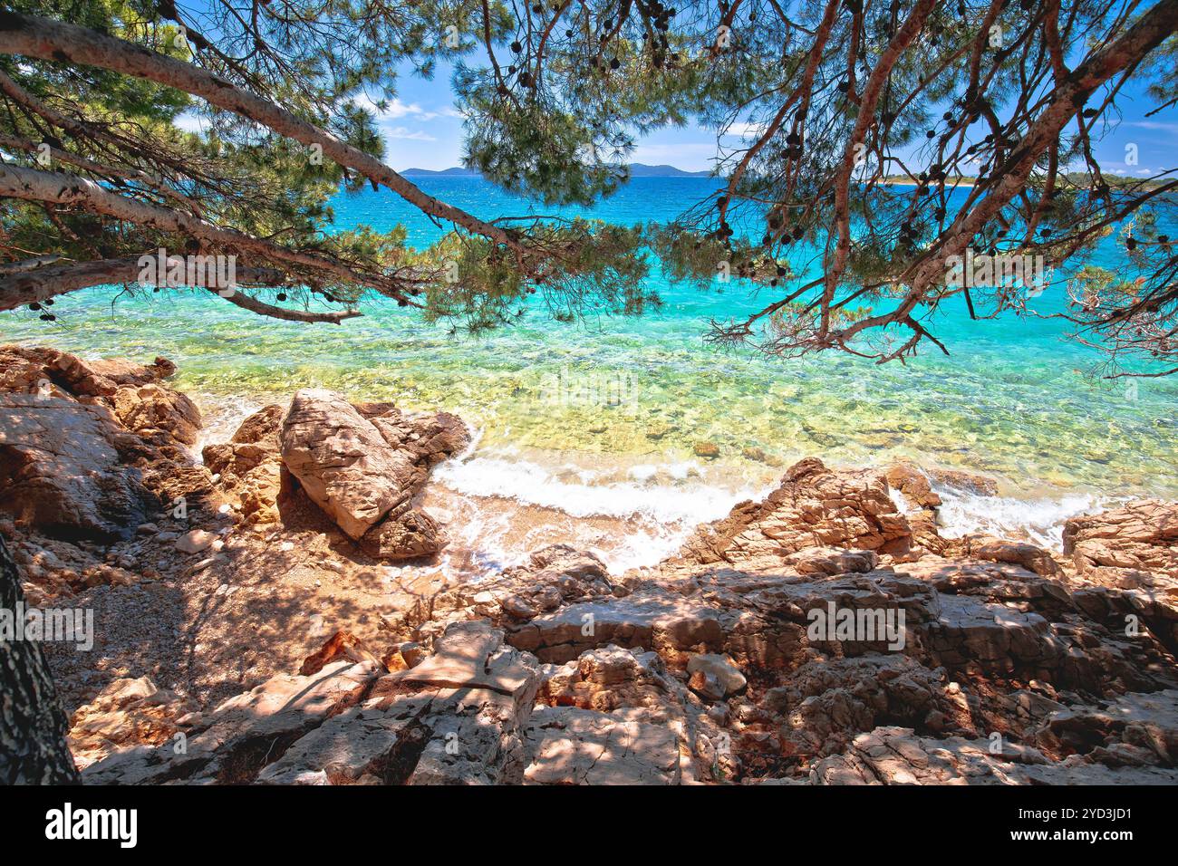 Pine beach in pakoštane hi-res stock photography and images - Alamy