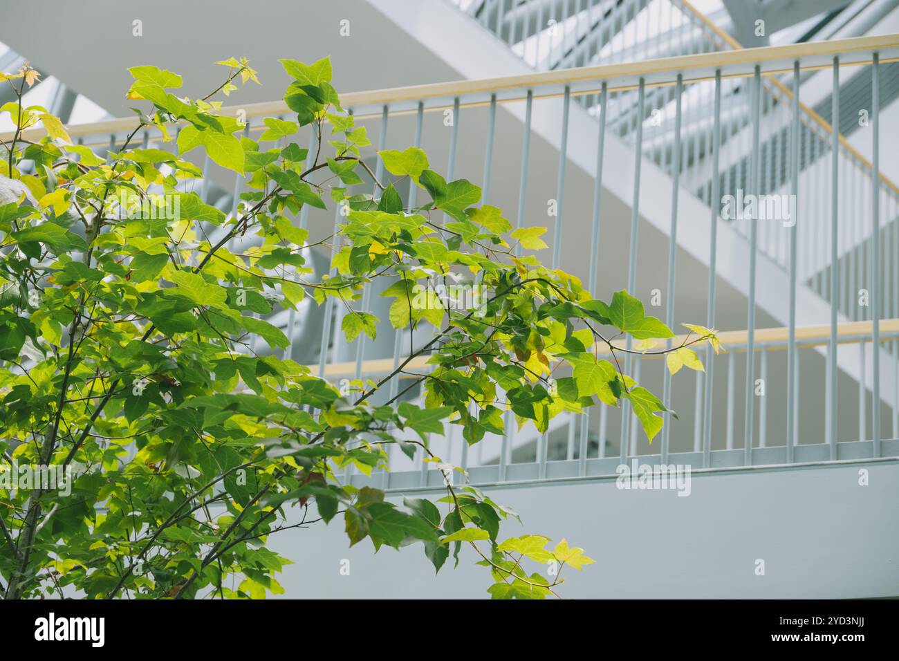 Green Office, Modern Office Building Interior with Greenery Plant Tree ...