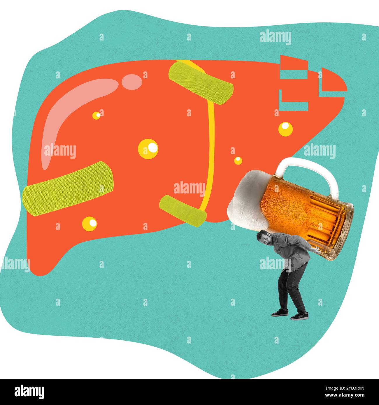 Liver health affected by alcohol consumption, showing weight of ...