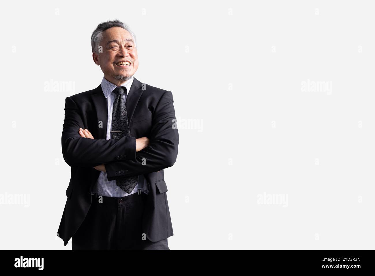 Smart senior businessman. Asian male executive manager, Business ...