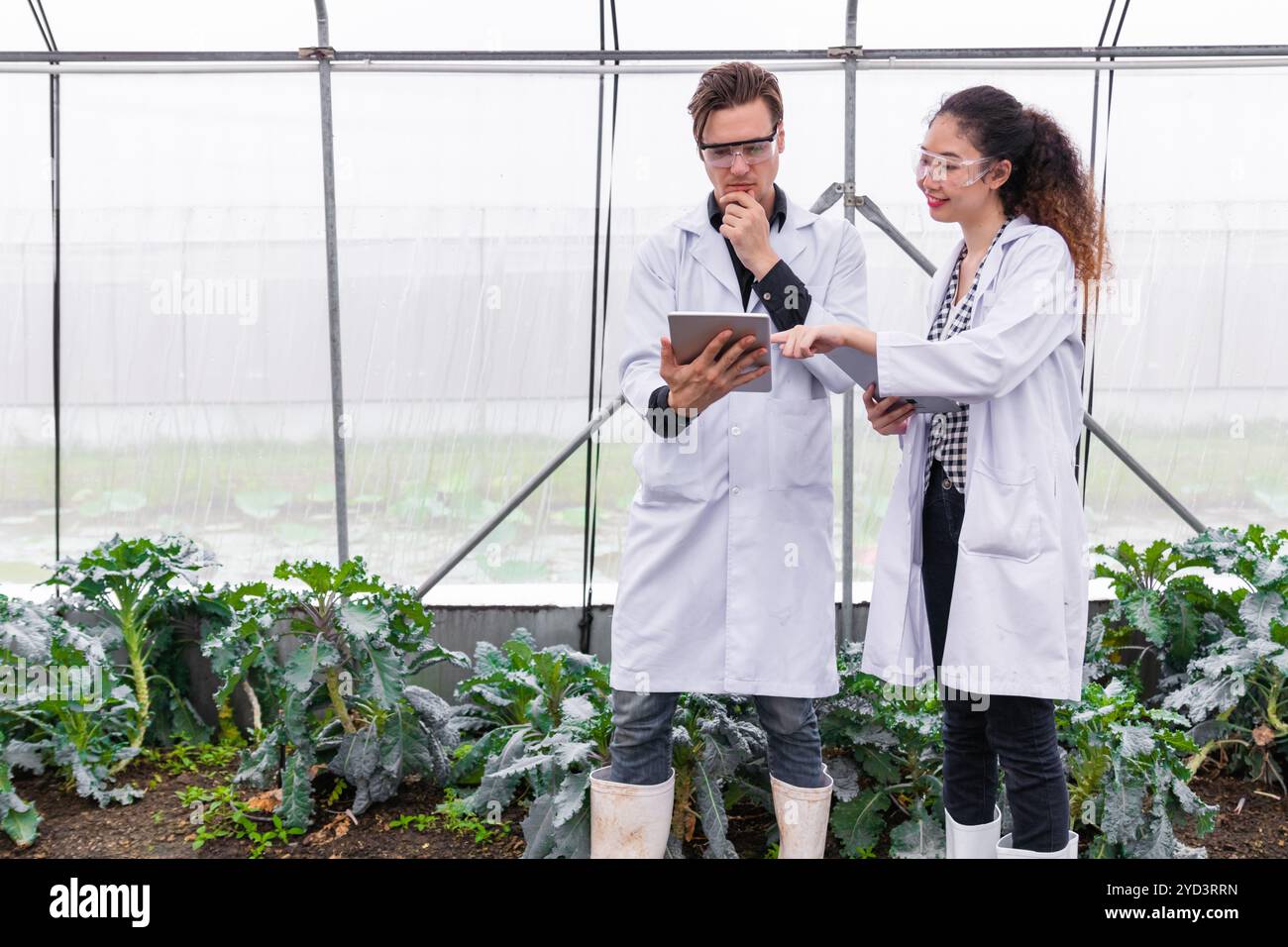 Researcher in biology field talking hi-res stock photography and images ...