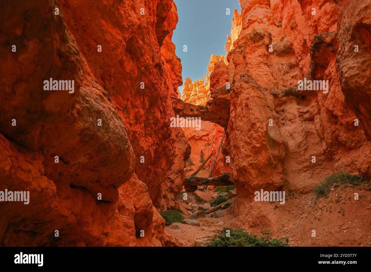Two bridge bryce canyon hi-res stock photography and images - Alamy