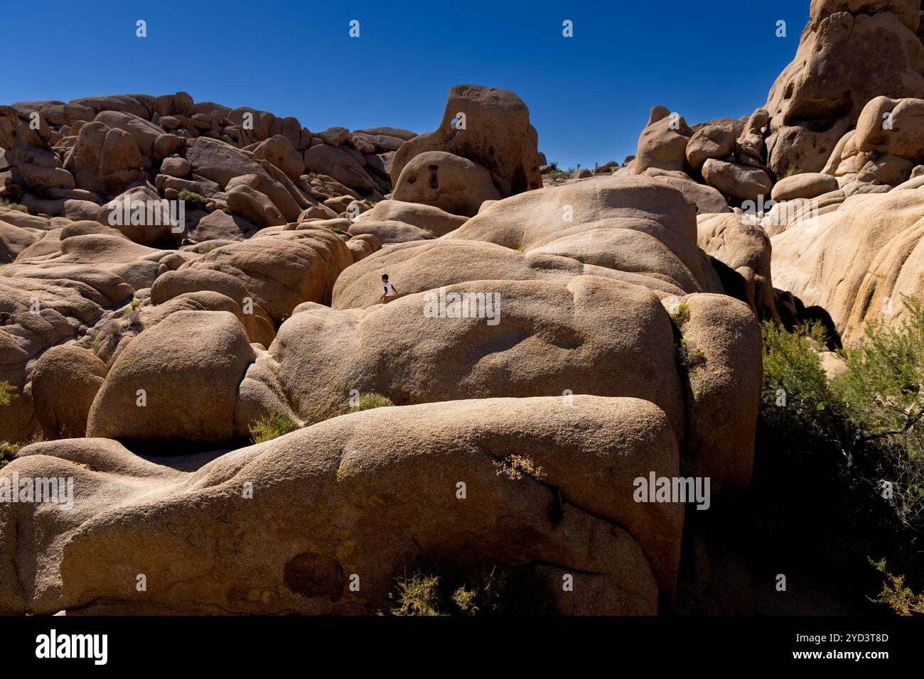 Gigantic rocks in Joshua Tree National Park, California Stock Photo - Alamy